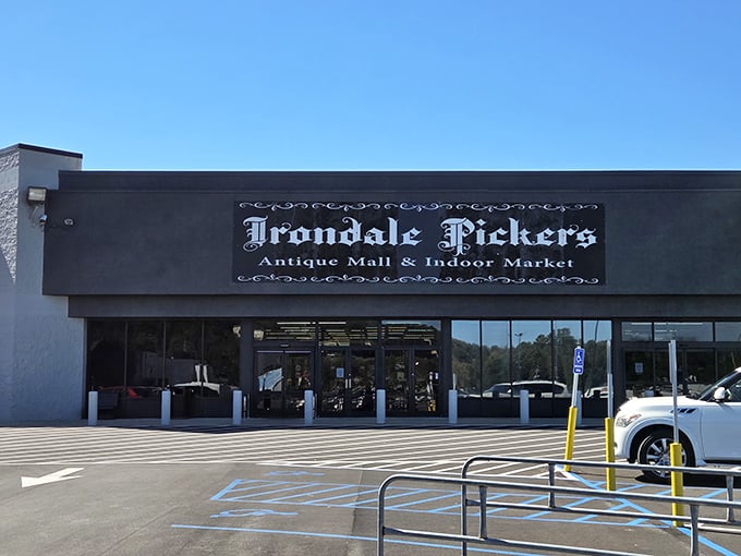 The Irondale Pickers beckons like a treasure chest waiting to be opened &ndash; and trust me, it delivers.