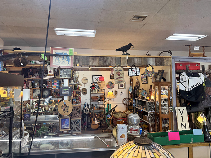 Every corner of Lazy Dog Antiques tells a story – this wall display showcases everything from indigenous art to vintage collectibles, creating a treasure hunter's paradise.