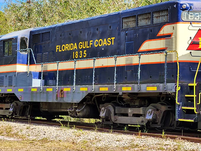 The Florida Gulf Coast 1835 locomotive stands proud in its blue and yellow livery &ndash; a diesel dream machine that once thundered across the Sunshine State.