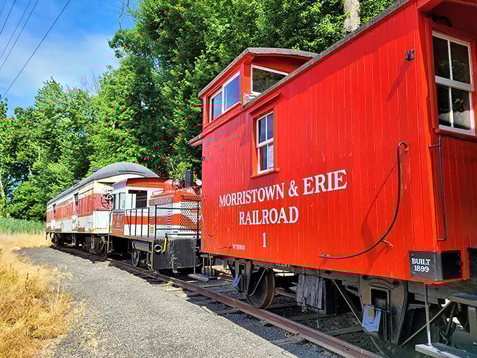 The vibrant red Morristown & Erie caboose stands like a cardinal against summer greenery, a nostalgic sentinel from railroading's golden age.