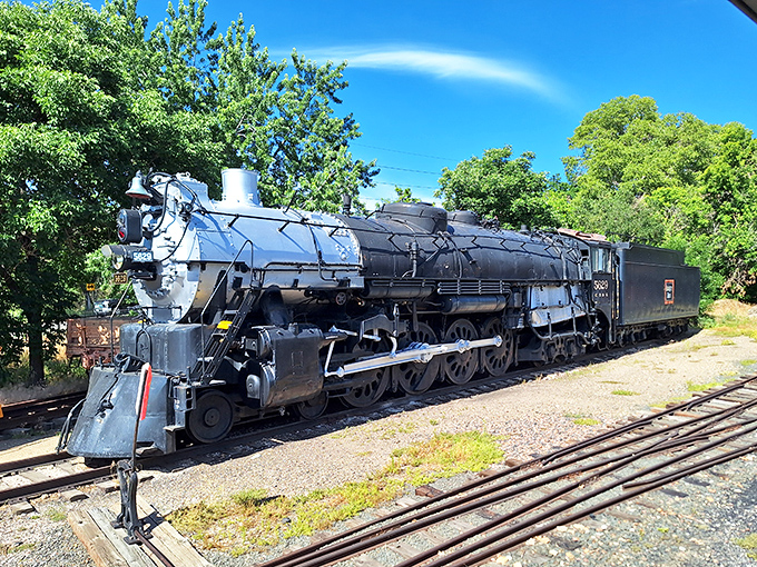This magnificent steam locomotive gleams in the Colorado sunshine, a 100-ton time machine ready to transport visitors back to the golden age of rail travel.