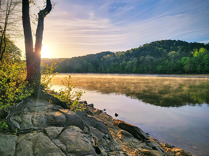Morning mist dances across Lake Greeson like nature's own light show, turning an ordinary sunrise into pure Arkansas magic.