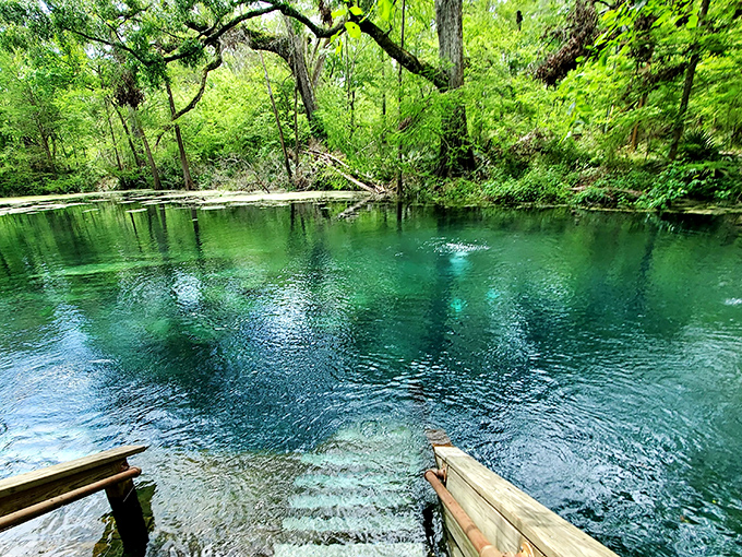 Mother Nature's swimming pool puts your backyard oasis to shame. Crystal-clear turquoise waters invite you to dive in while the surrounding greenery stands guard.
