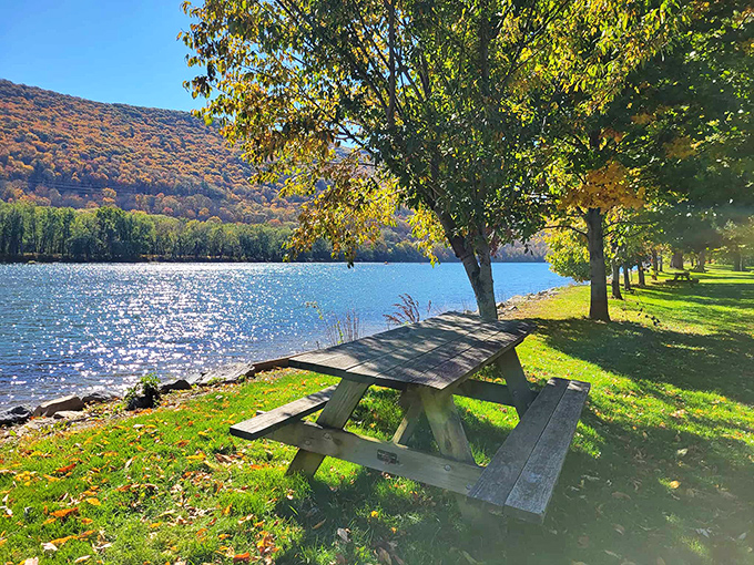 Nature's perfect picnic spot: where sparkling water meets autumn hillsides and that wooden bench practically begs you to sit down with a sandwich and your thoughts.