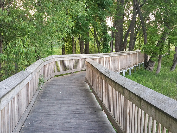Nature's version of a yellow brick road, this elevated pathway offers front-row seats to Minnesota's verdant theater without the typical mosquito admission fee.