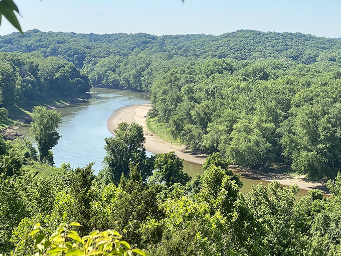 The Meramec River winds through lush forest like nature's own lazy river, offering a peaceful respite just minutes from St. Louis.