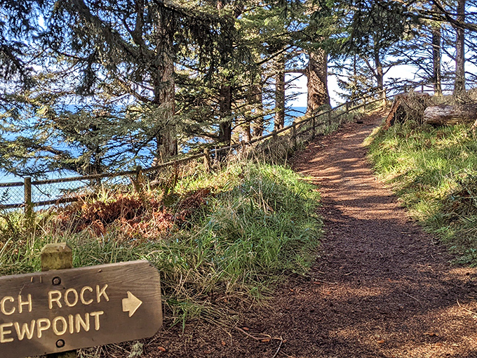 Follow the wooden sign to discover what lies beyond – a trail promising views that'll make your Instagram followers green with envy.