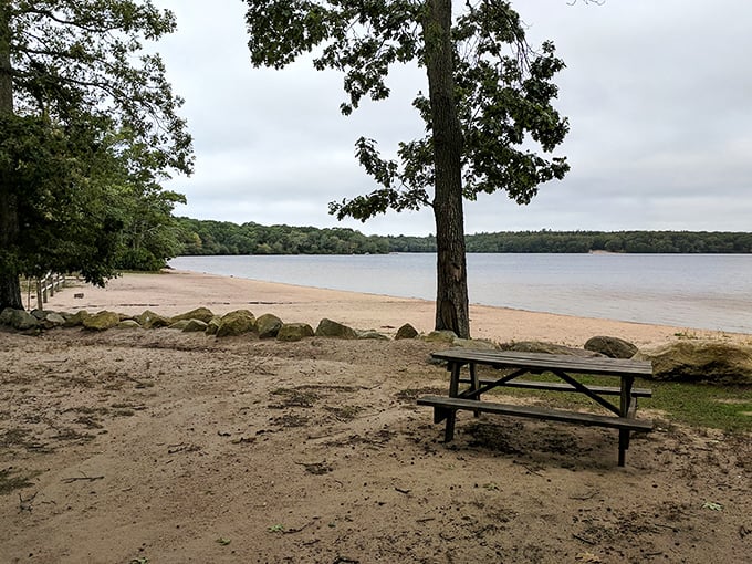 A tranquil beach nestled among the trees offers a serene escape, where soft sand meets the calm of the forest.