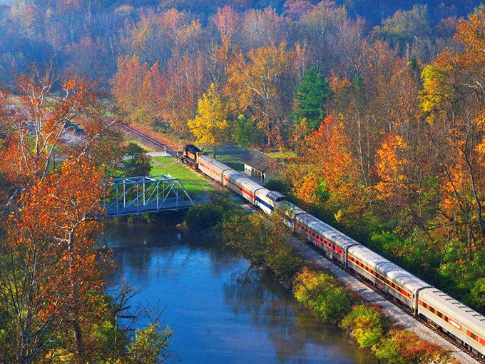 The golden locomotive emerges from a tunnel of fall foliage like a time traveler bringing tales from Ohio's past.