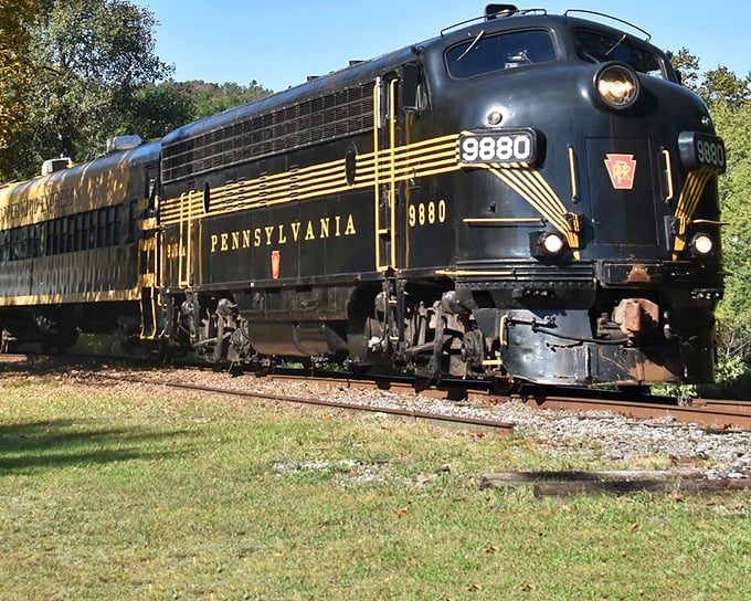 The classic Pennsylvania locomotive glides through lush greenery, a black and gold time machine cutting through the Pocono wilderness like a well-dressed guest at nature's party.