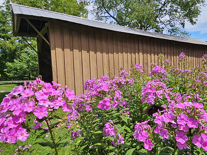 Nature's perfect frame! Vibrant wildflowers create a stunning foreground for this historic wooden treasure, proving Virginia knows how to accessorize its landmarks.