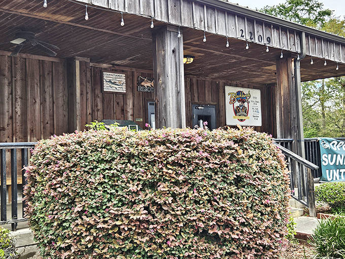 The weathered wooden exterior of Blackbeard's isn't putting on airs – it's too busy putting out some of Georgia's finest barbecue behind that humble facade.