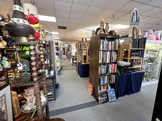 Aisles of wonder stretch before you like a treasure map come to life. Every turn promises new discoveries waiting to be unearthed.