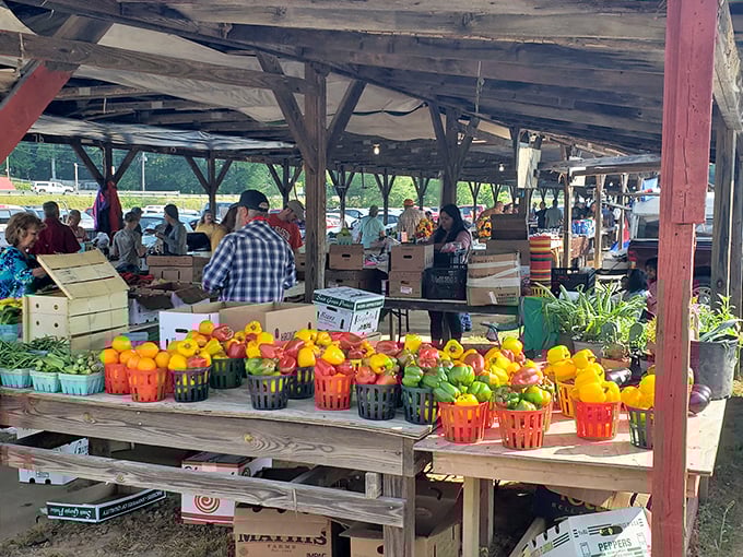 A rainbow of peppers and fresh produce awaits under rustic wooden beams—nature's candy store where the colors alone are worth the trip.