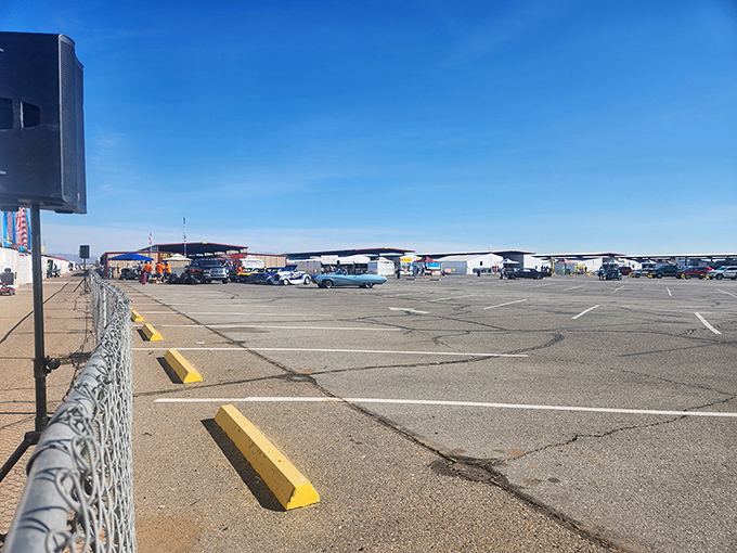 The sprawling Arizona Market Place stretches toward the horizon like a mirage of bargains in the desert heat.