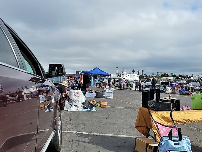 Cars and canopies create a temporary city of commerce every weekend. The swap meet's impromptu neighborhoods have their own rhythm and rules.