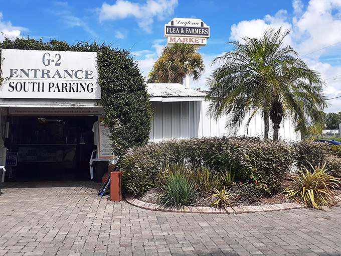 The entrance beckons with Florida charm &ndash; palm trees, sunshine, and the promise of discoveries waiting just beyond those doors.