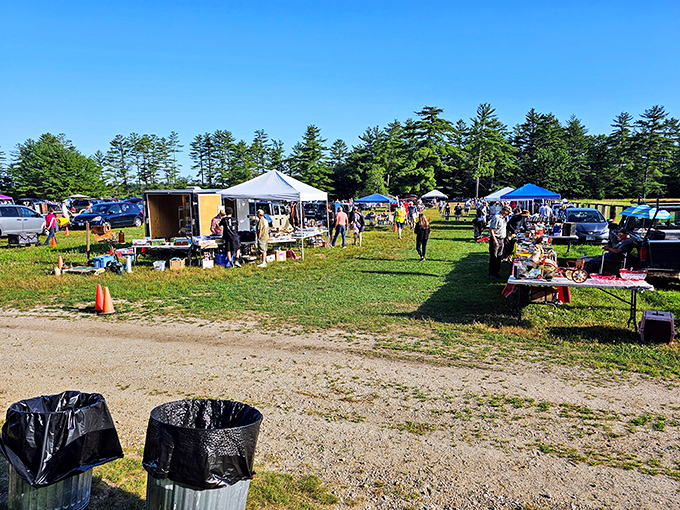 A treasure hunter's paradise under New Hampshire pines, where colorful tents promise discoveries that'll make your friends wonder where you've been shopping all these years.