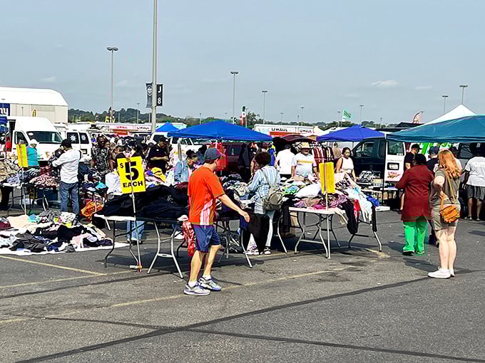 A sea of colorful tents and treasure hunters at the New Meadowlands Flea Market, where one person's castoffs become another's prized possessions.
