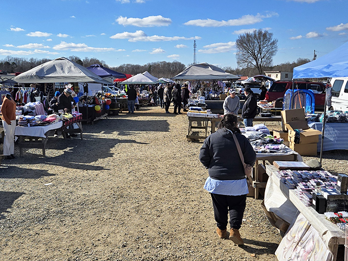 The weekend treasure hunt begins! Rows of canopies shelter everything from vintage vinyl to handcrafted curiosities at this Salisbury shopping paradise.