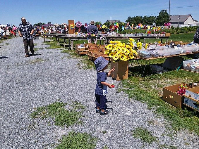 Sunny days and bright finds! Enjoy a friendly, fun day exploring the amazing deals at Root's Old Mill Flea Market.