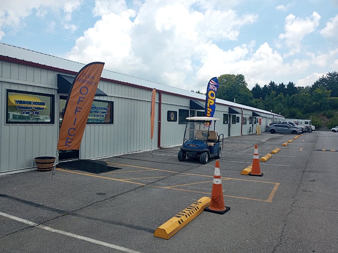 Welcome to Tri Cities Flea Market! Your bargain-hunting dreams start right through these doors. Happy treasure finding!