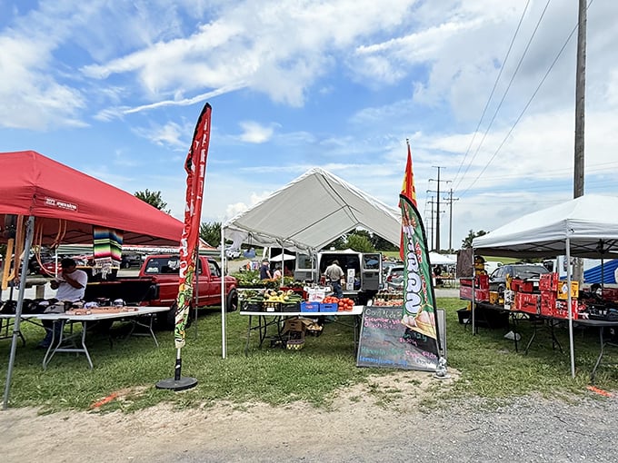 Tables laden with treasures under white canopy tents &ndash; the universal language of flea markets where one person's castoffs become another's prized possessions.