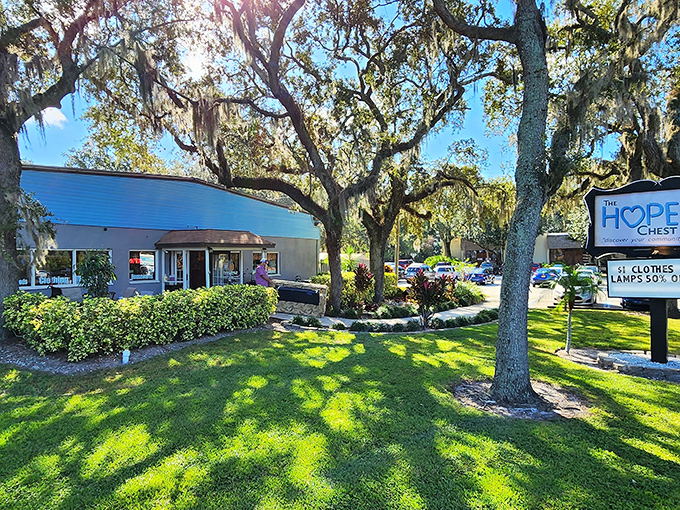 Florida sunshine filters through ancient oaks, casting dappled light on this unassuming building that houses thousands of second-chance treasures.