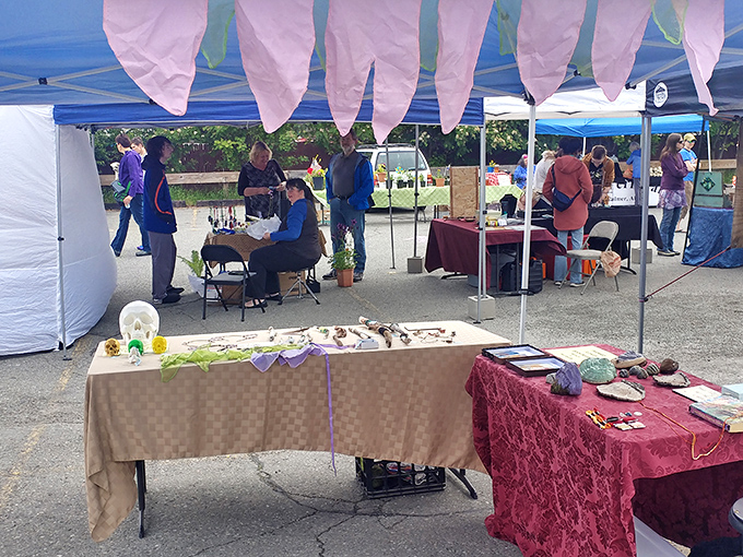 Vendors create a cozy community under blue tents where handcrafted treasures await discovery. Alaska's version of retail therapy comes with stories included!