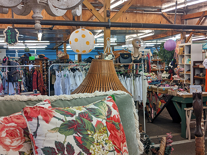 A treasure hunter's paradise where vintage lampshades and floral pillows compete for your attention. Every aisle promises new discoveries.