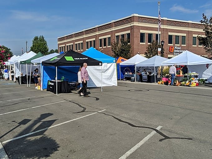 White tents line the plaza outside Meridian City Hall, where treasure hunters begin their weekend quests for unique finds.