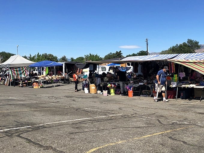 El Rancho's sprawling layout stretches toward distant mountains, promising adventures in bargain hunting under perfect Nevada skies.
