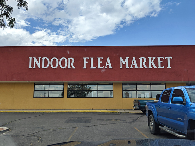 The terracotta-colored beacon of bargain hunting stands proudly on Central Avenue, promising treasures that won't break the bank.