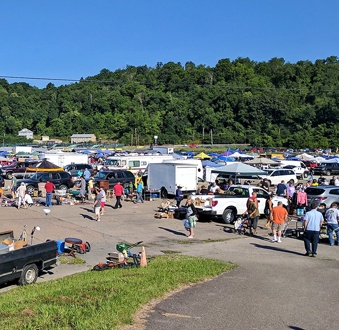 The Sunday morning pilgrimage begins! Rows of canopies stretch across the Bridgeville landscape like a treasure hunter's promised land.