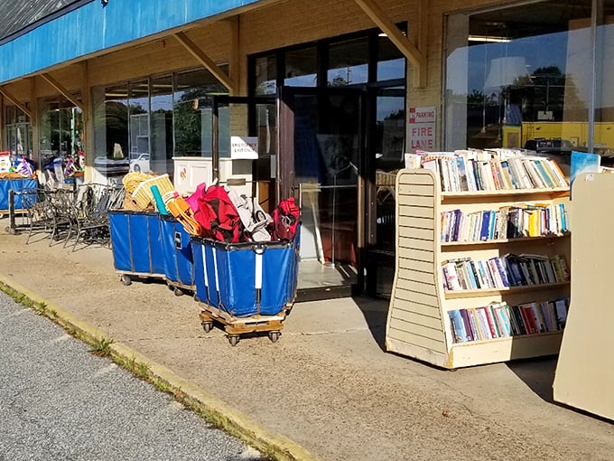 Books by the door – because sometimes the best vacation reading comes from someone else's bookshelf rather than the bestseller list.