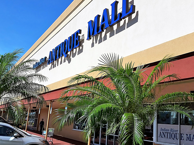Palm trees frame the entrance like sentinels guarding a time portal. Florida's weather may be predictable, but what's inside never is.