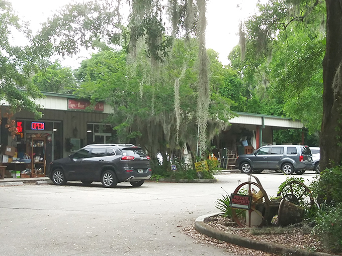 Spanish moss drapes over Sugar Bear Antique Mall like nature's welcome banner, hinting at the treasures waiting inside this unassuming Jacksonville gem.