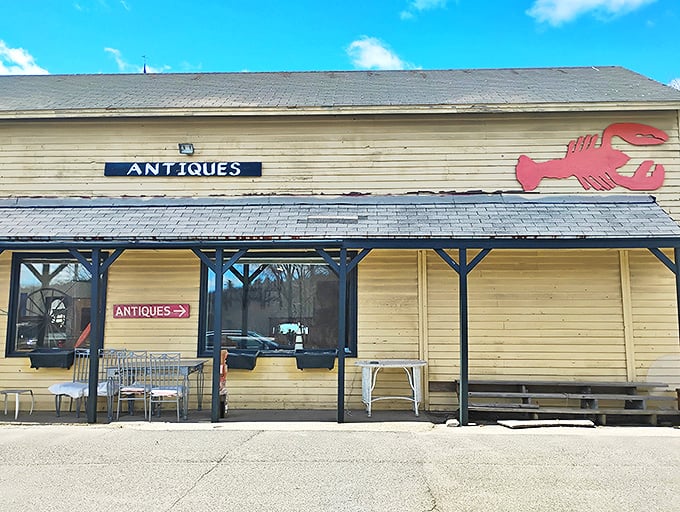 The unassuming exterior hides a universe of treasures within, like finding a portal to the past behind that iconic red lobster sign.