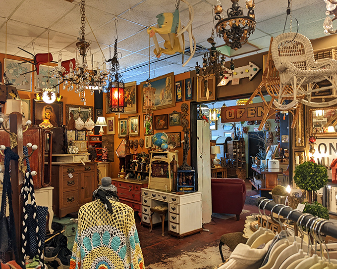 Every corner promises a new decade to explore, with treasures stacked like memories waiting to be rediscovered.