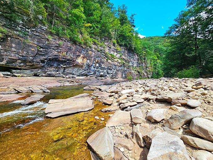 Nature's own infinity pool! The crystal-clear waters of Loyalsock Creek reflect the lush green canopy, creating a mirror world that's equally mesmerizing. 