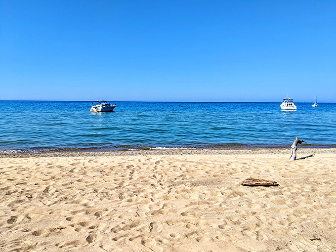 Lake Michigan's crystal waters meet golden sands at Mount Baldy Beach. Who needs the Caribbean when Indiana delivers this postcard-perfect scene?