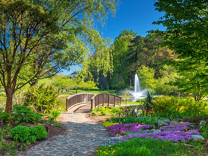 When fall decides to paint with every crayon in the box, this is what happens at Meadowlark.