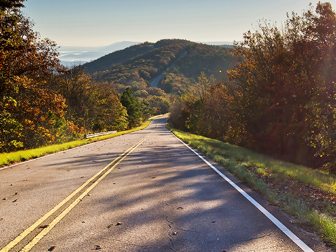 Nature's rollercoaster for grown-ups. The Talimena Byway curves through autumn's palette like a paintbrush dipped in the colors of joy.