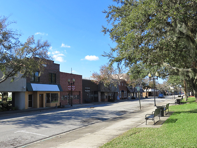 Downtown Palatka's tree-lined streets offer shade, benches, and the rare pleasure of parking spaces that actually exist.