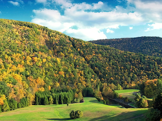 Nature's autumn masterpiece unfolds along this gravel path, where Pennsylvania's hills transform into a canvas of fiery oranges and golden yellows.