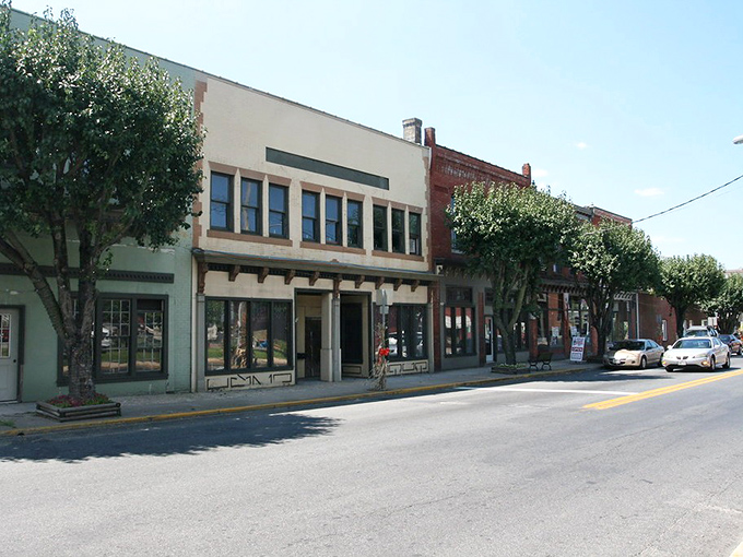 Downtown Snow Hill's tree-lined streets and historic storefronts create that perfect small-town tableau where you half-expect Jimmy Stewart to come strolling around the corner.