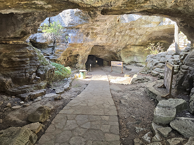 The entrance to another world awaits. Sunlight filters through this natural limestone gateway, offering a tantalizing preview of the underground wonders ahead.