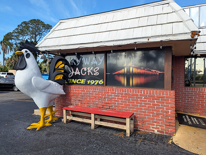 The legendary chicken statue stands guard outside Skyway Jack's like a feathered bouncer with impeccable taste in breakfast joints.