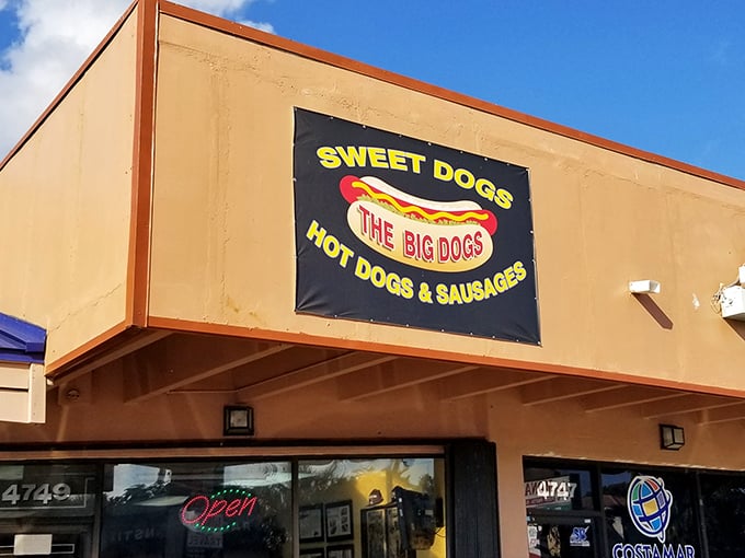 The bright banner announces "THE BIG DOGS" like a carnival barker promising the greatest show on earth&mdash;Miami's hot dog paradise awaits inside.