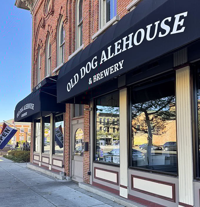 The classic brick fa&ccedil;ade of Old Dog Alehouse & Brewery beckons like an old friend on Delaware's historic main street.